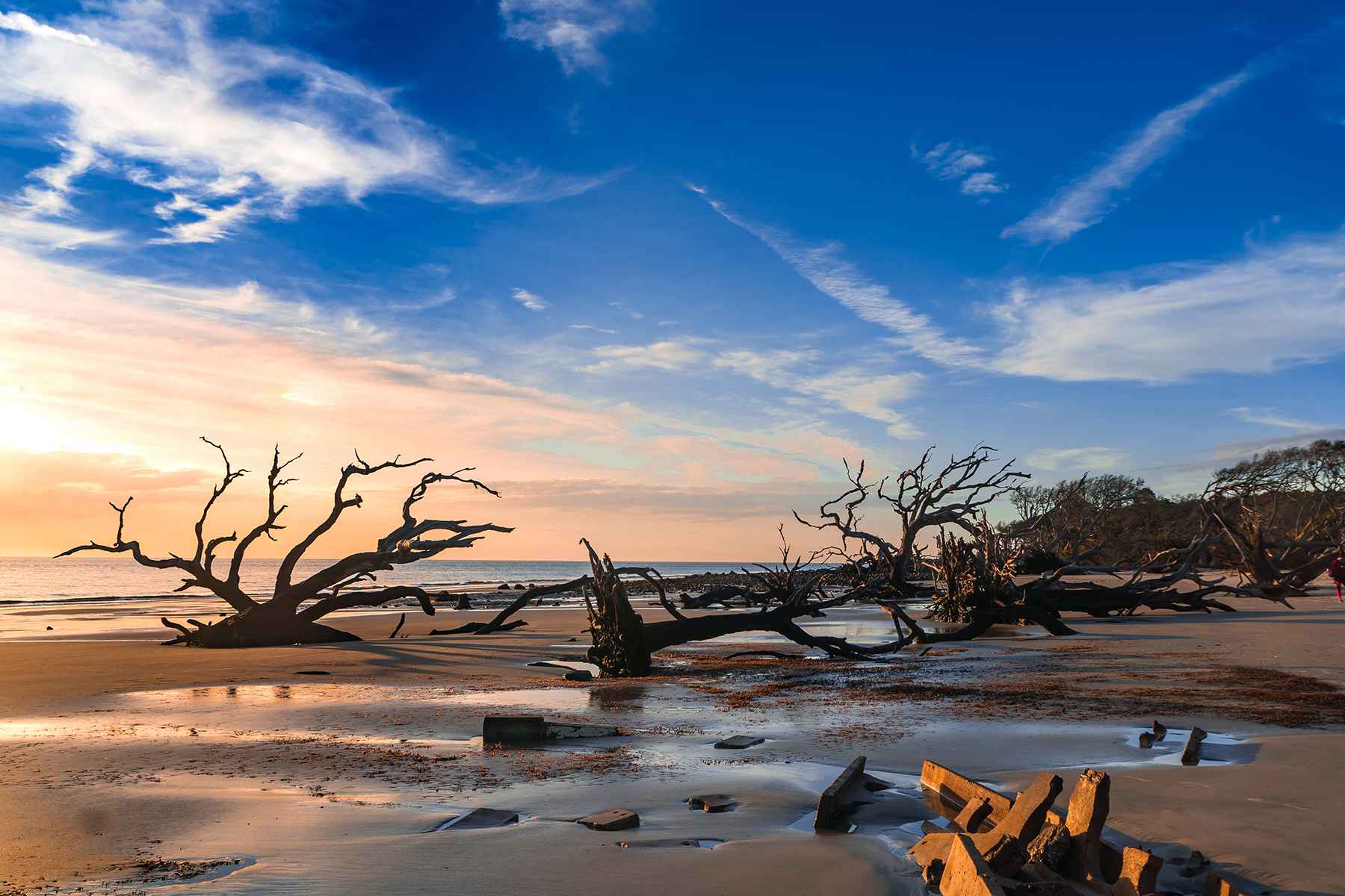 Bespoke Jekyll Island Holidays with Journeyscape