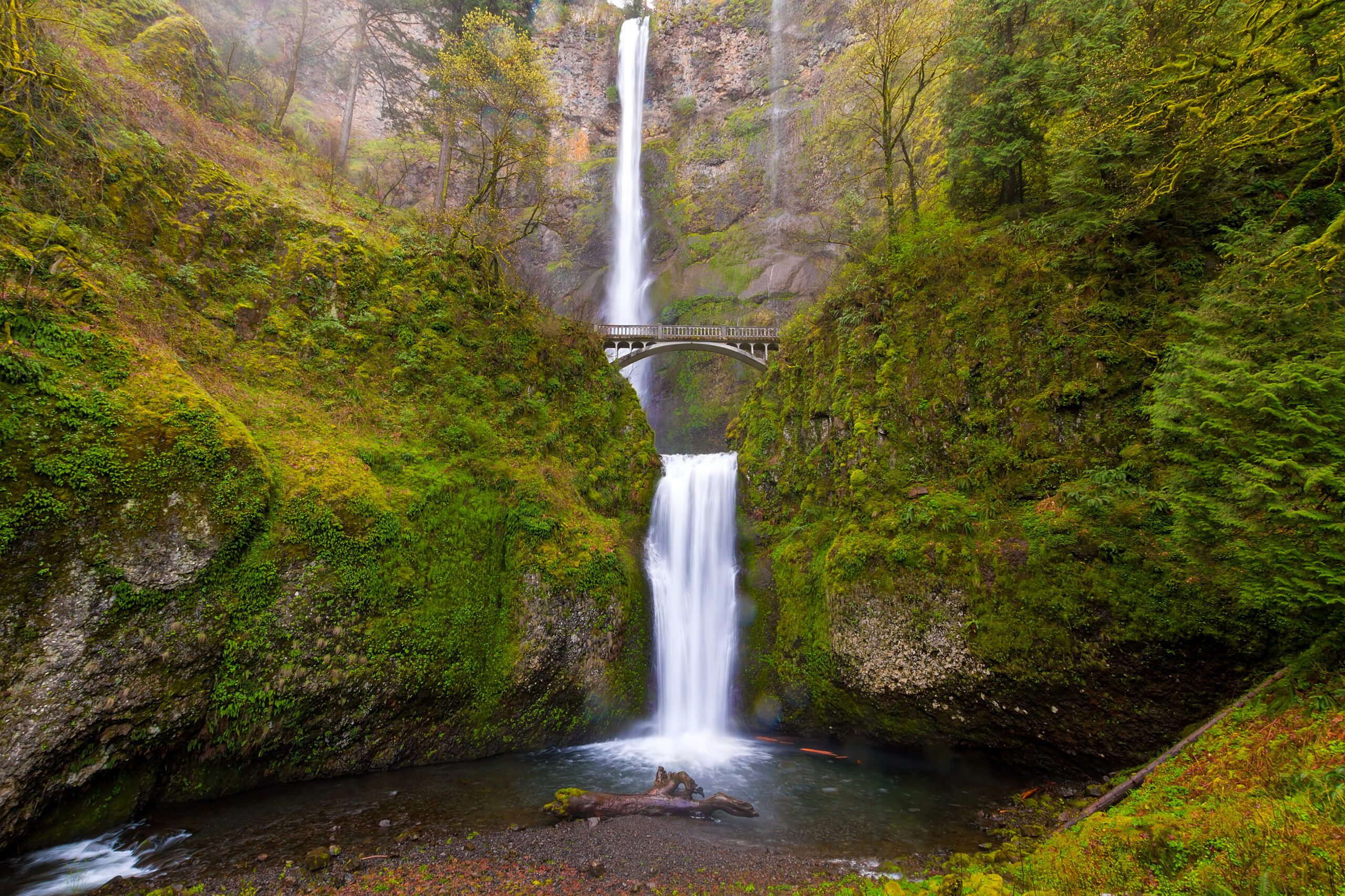 Tour Multnomah Falls and Gorge Waterfalls - Journeyscape