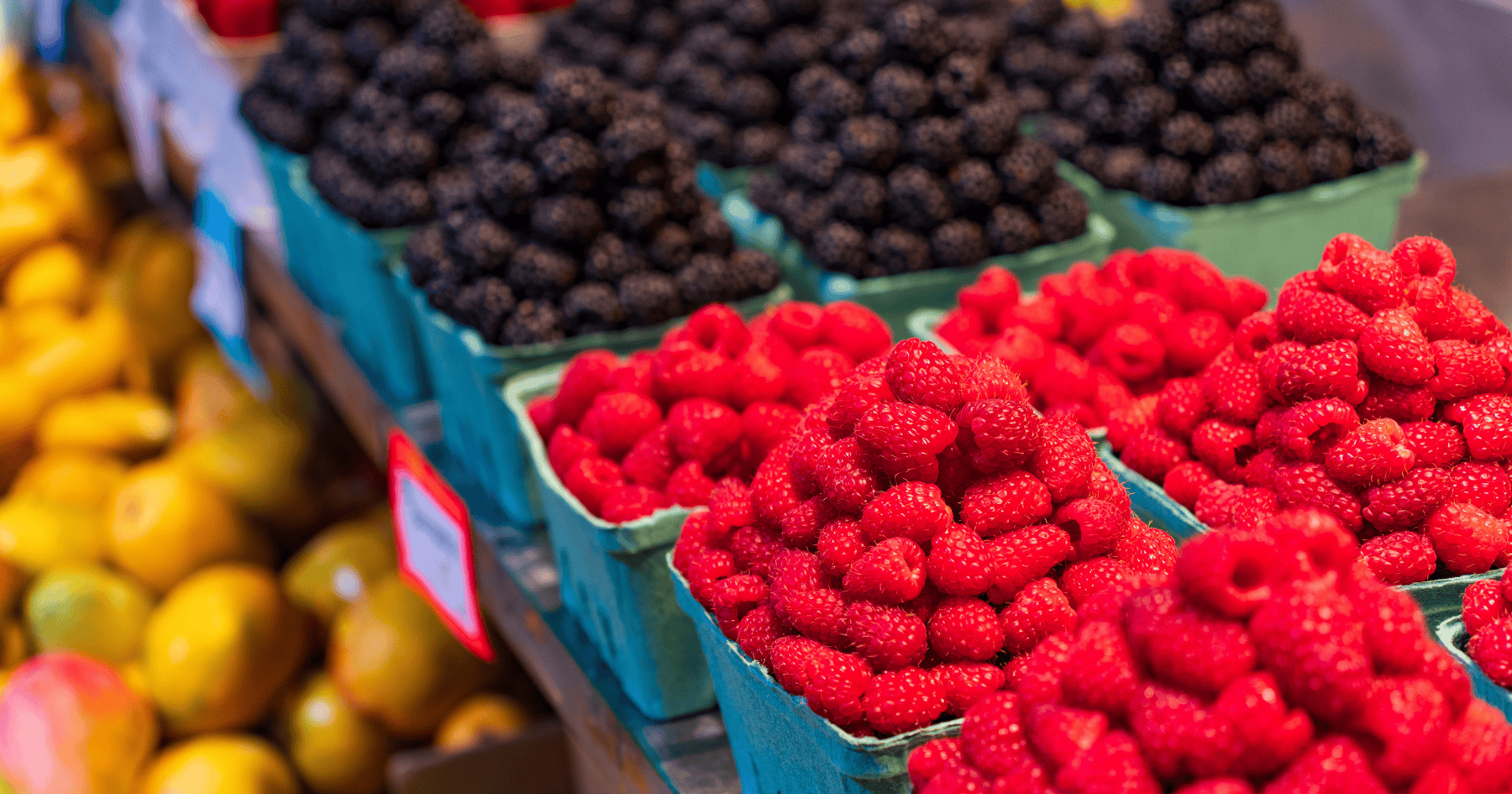 Granville Island Food Market - Journeyscape