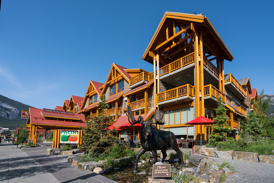 The Moose Hotel - Journeyscape