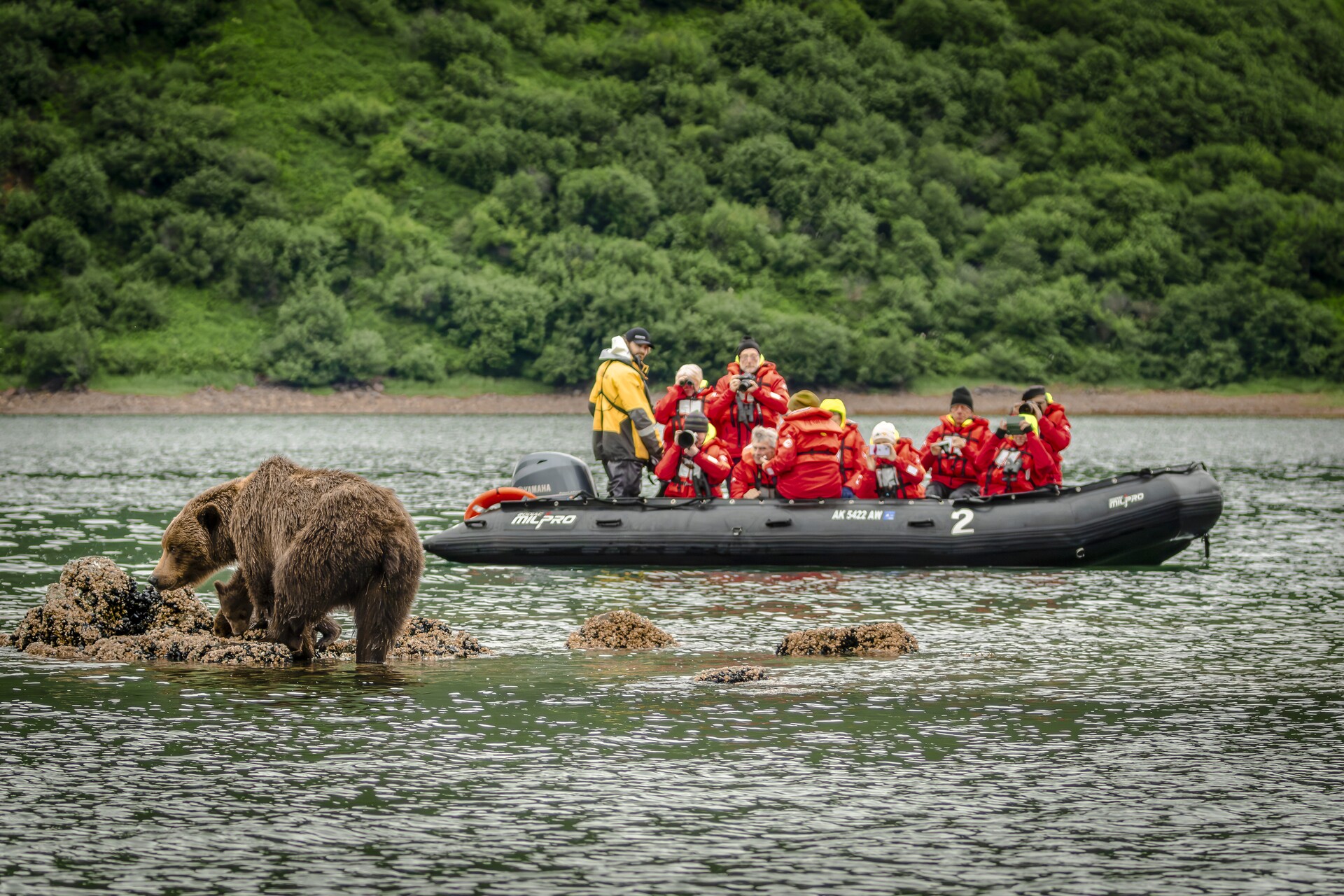 Alaska Expedition Cruise: Inside Passage, Bears and Aleutian Islands ...