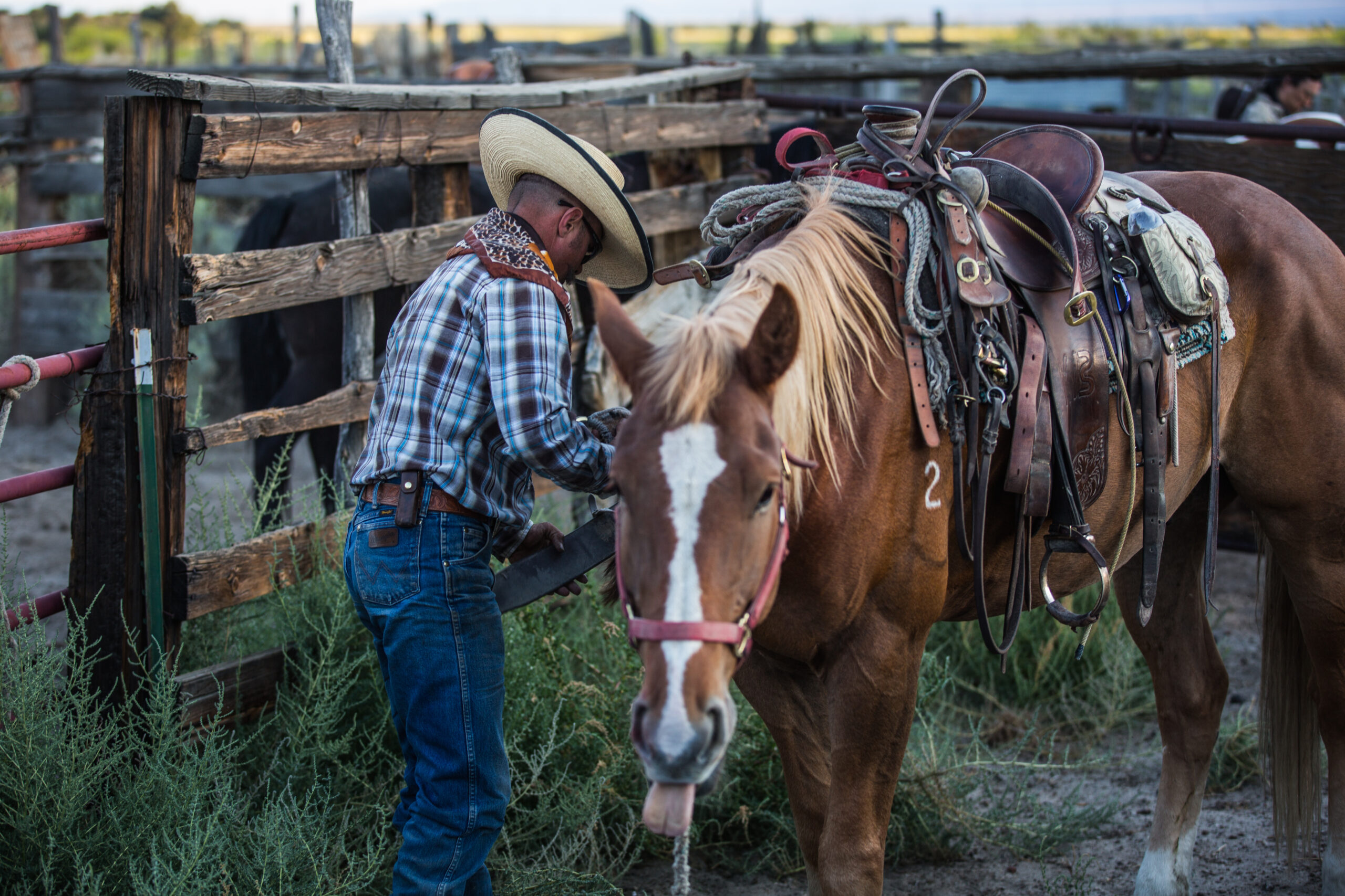 Saddle up: what to expect on a ranch stay - Journeyscape