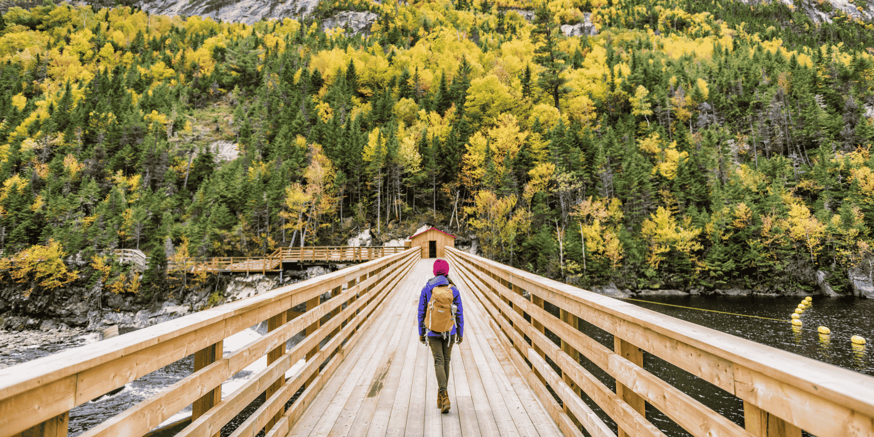 Private Journeys - Journeyscape